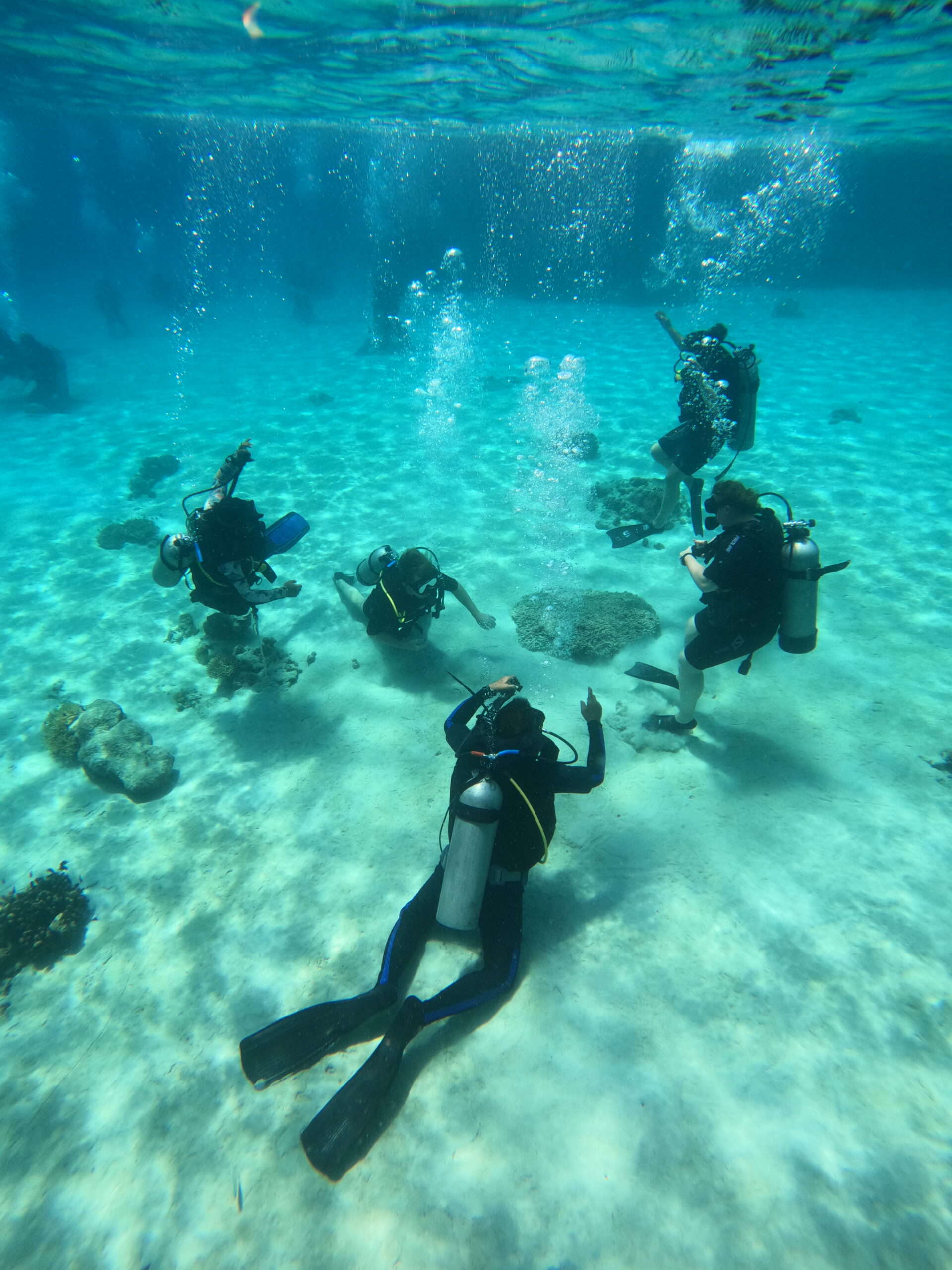 PADI Dive Courses Bali | Learn to Dive in North Bali